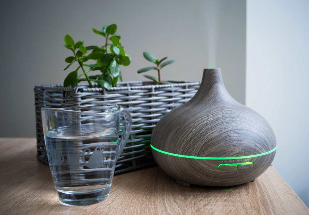 10 Best Aromatherapy Diffuser and Humidifier Reviews in 2024