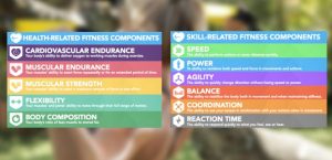 What Are The 10 Components of Physical Fitness